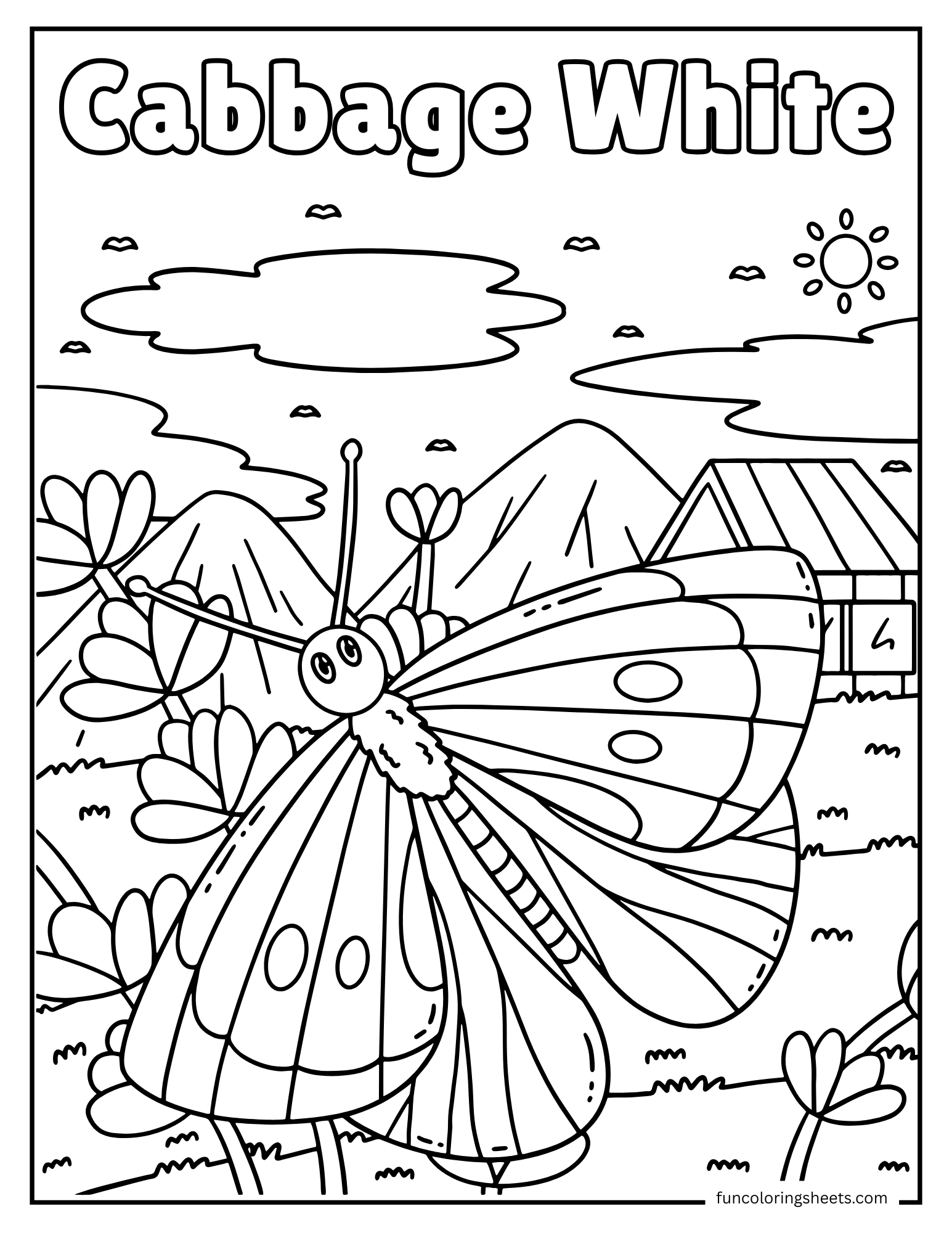 Butterfly Coloring Pages - Fun Coloring Sheets
