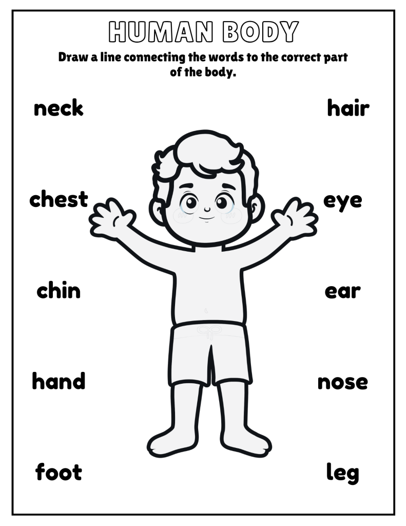 Doctor Activity and Coloring Sheets - Fun Coloring Sheets